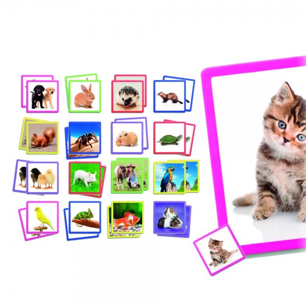 Maxi memory - dieren kopen? - Nenko